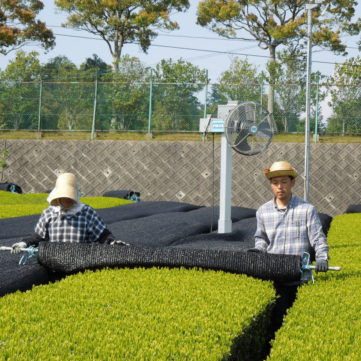 Emergency Shipping Policy for the Coronavirus Pandemic – Yunomi.life