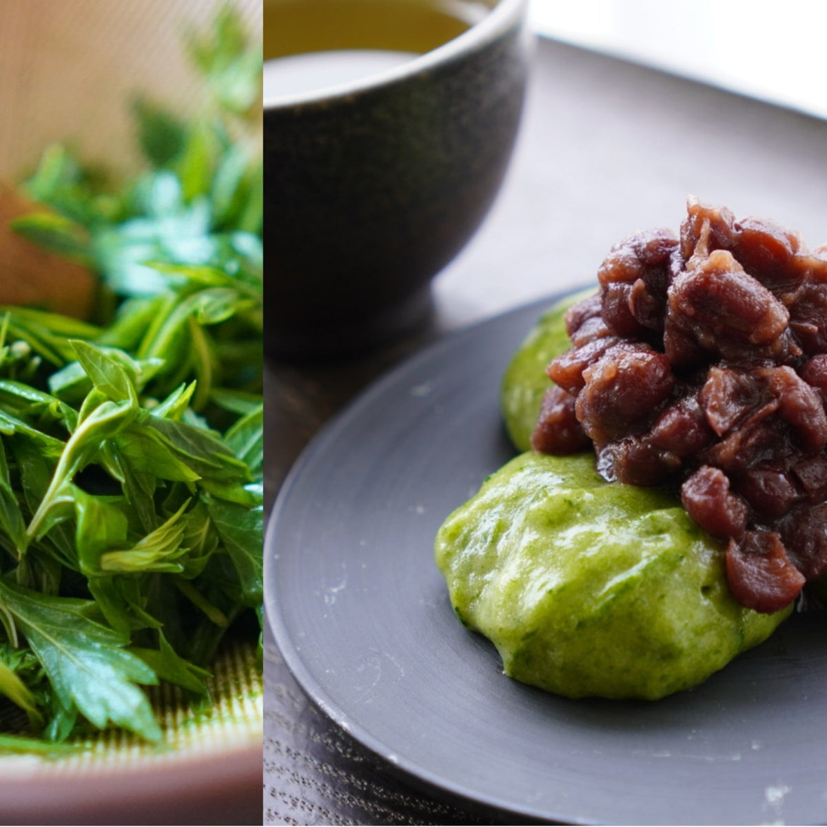 Yomogi(よもぎ) -Japanese Mugwort , How to Make Yomogi Mochi – Yunomi.life