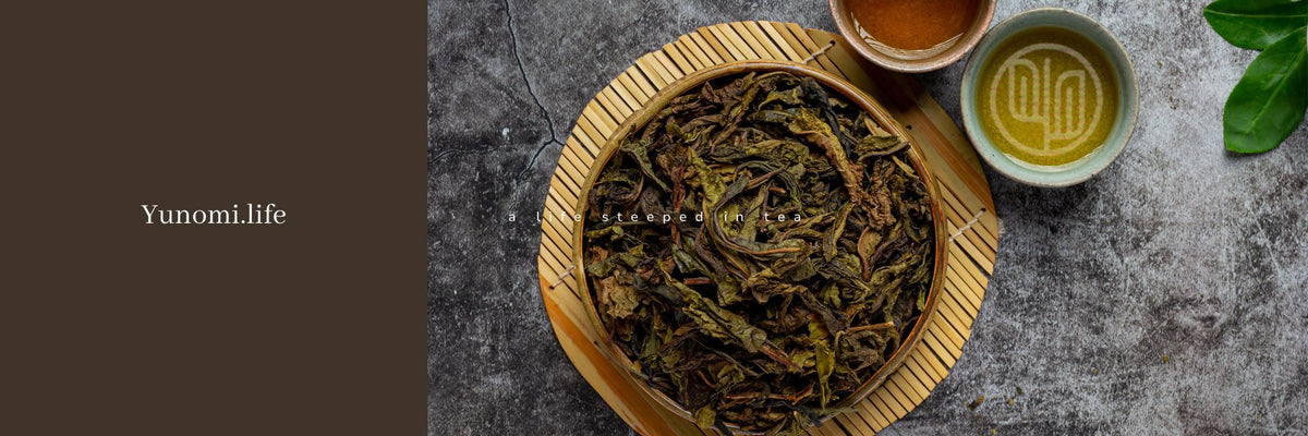Japanese Oolong Tea – Yunomi.life